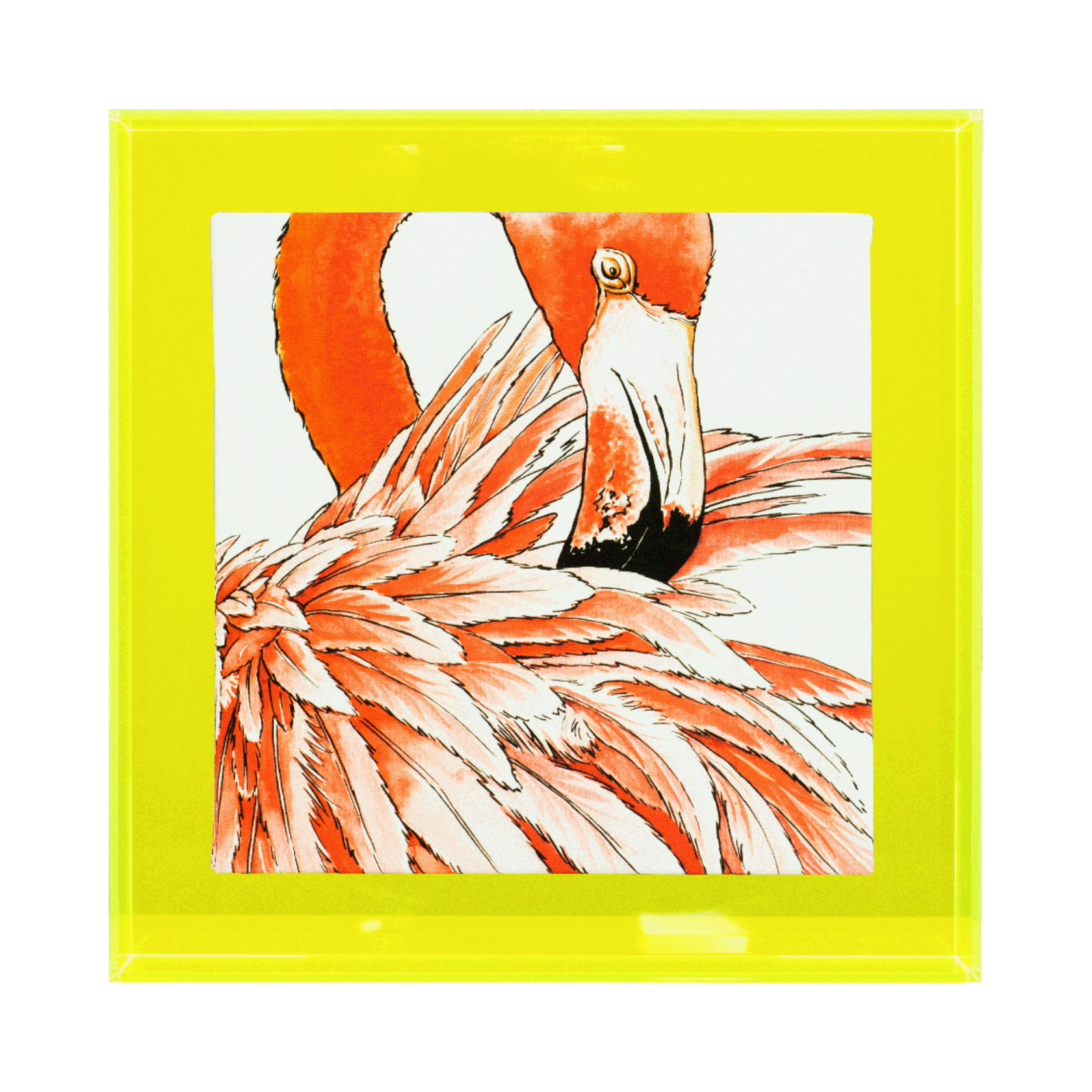 Birds of paradise 'Flamingo' – Ateljee W&G